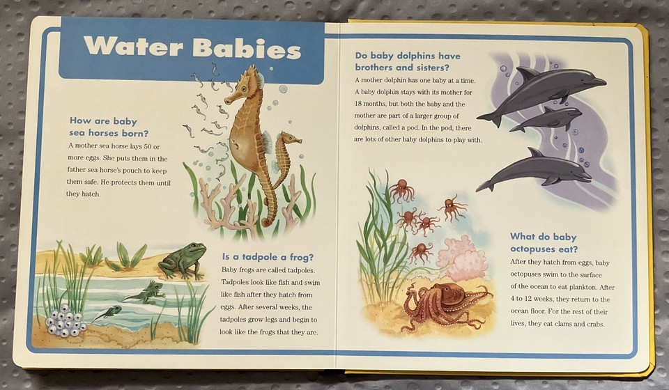 MY FIRST BIG BOOK OF QUESTIONS AND ANSWERS BABY ANIMALS By Lora Kalkman ...
