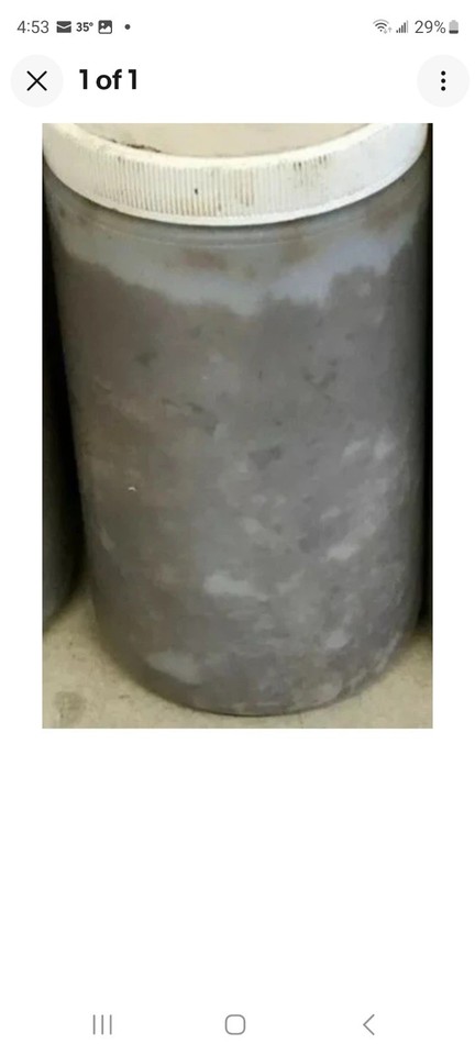 One Gallon, Ground, Tainted and preserved beaver meat, | eBay