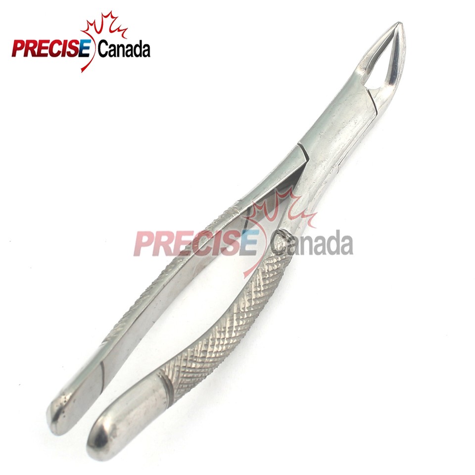 PRECISE CANADA Dental Tooth Extracting Forceps #151 With Serrated Jaw ...
