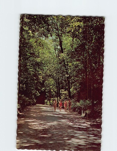 Postcard Fern Gully, Ocho Rios, Jamaica | eBay