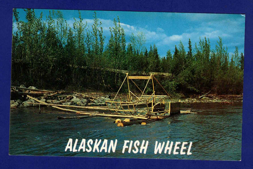 VINTAGE POSTCARD NATIVE ALASKAN ALASKA FISH WHEEL 1964 | eBay