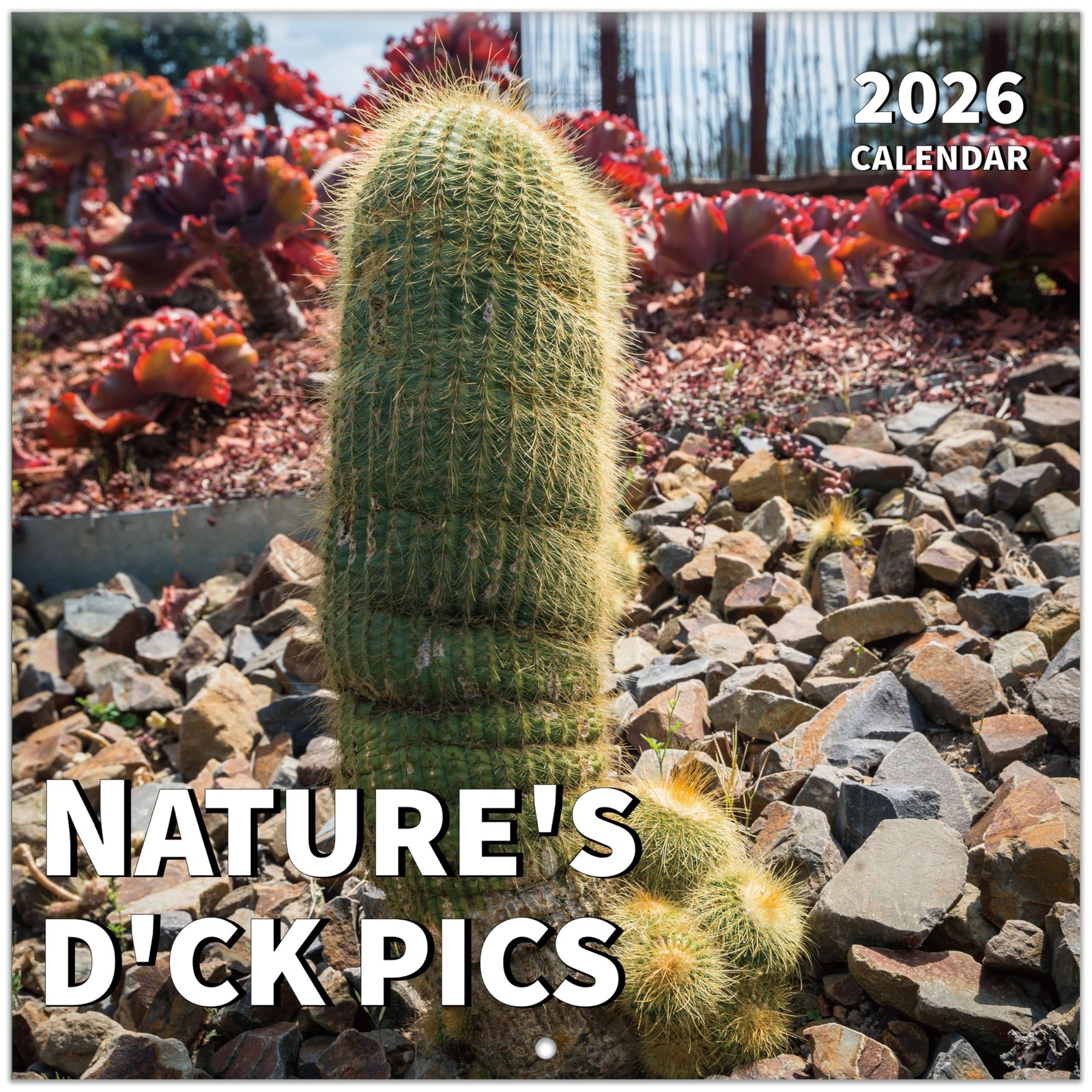 2026 Wall Calendar, 2026 Funny Nature's D'ck Pics 12...