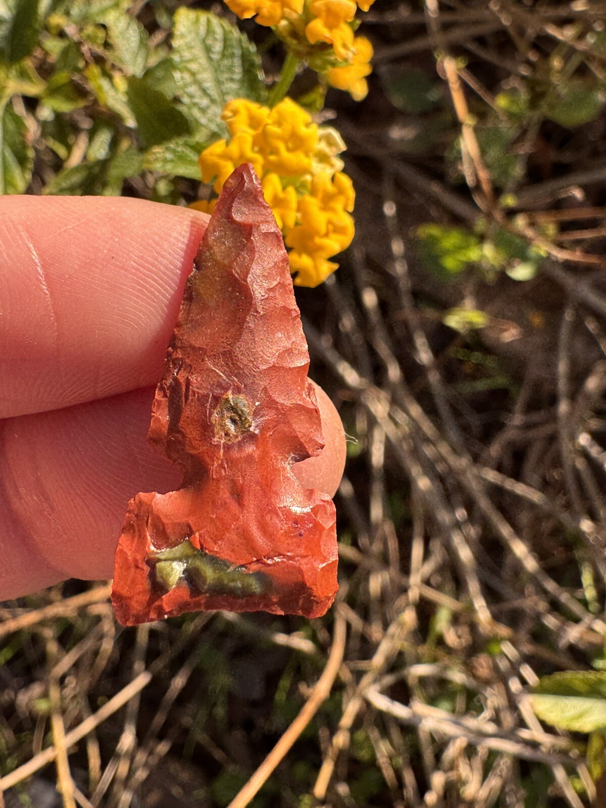 Plains Side Notch projectile point (Weld Co, Colorado arrowhead) | eBay
