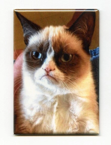 Grumpy Cat Still Nope
