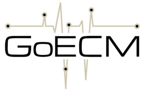 GoECM | eBay Stores