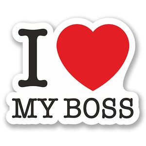 2 x I Love my Boss Vinyl Sticker iPad Laptop Office Joke Funny Work ...