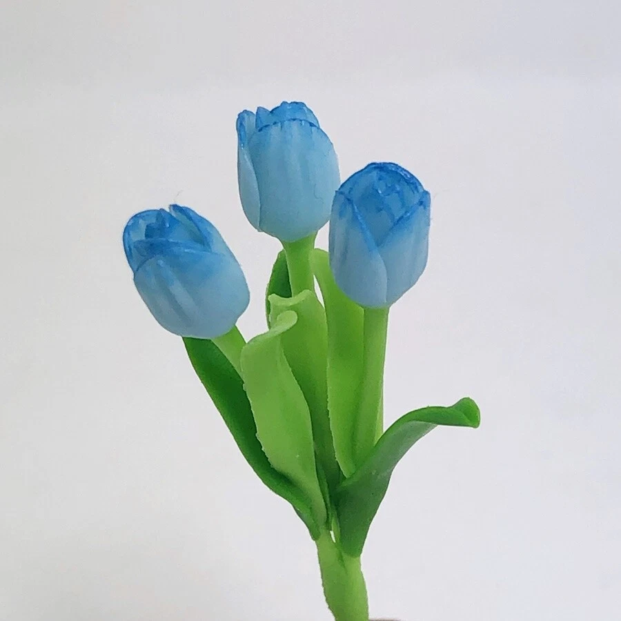Light Blue Tulips