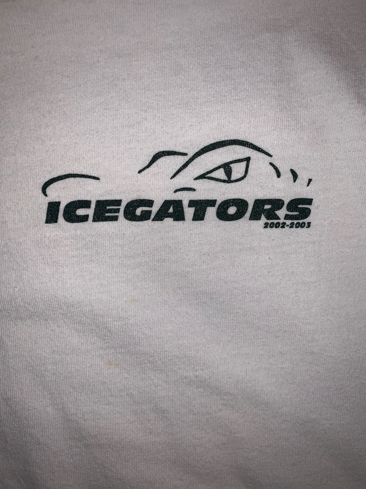 Vtg 2002 - 2003 Mens Hockey T- Shirt Louisiana IceGators ECHL Rare Big ...