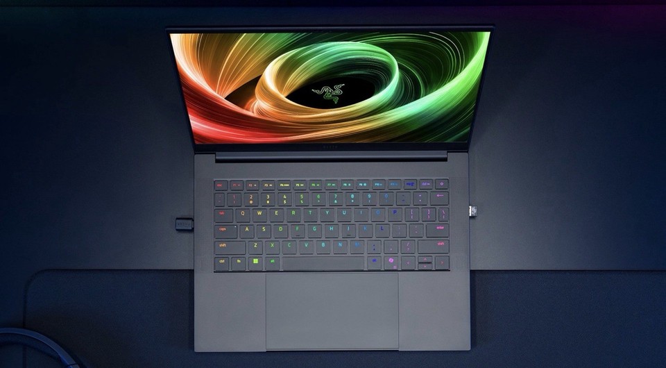 Razer Blade 14" QHD+ 120 Hz OLED 5060 AMD Ryzen™ AI 9 365 + Skin ...