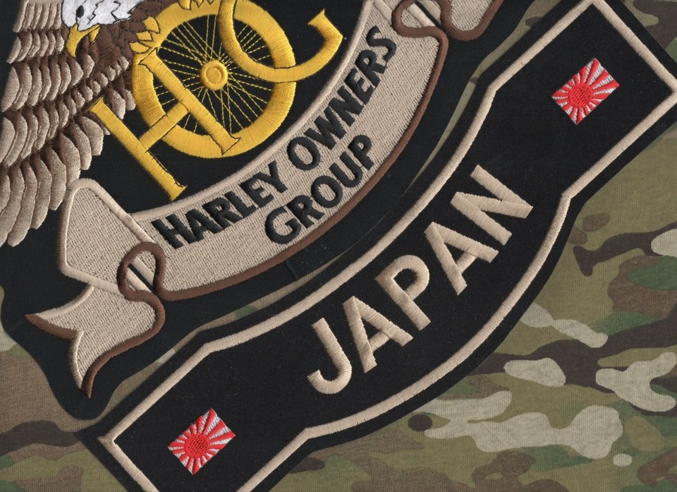 FANCY DRESS HALLOWEEN PARTY MOVIE WARRIORS PROP GANG PATCH: Electric ...