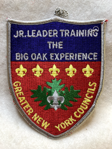 (46ae) Boy Scouts - GNYC Jr. leader Training "The Big Oak" Experience ...