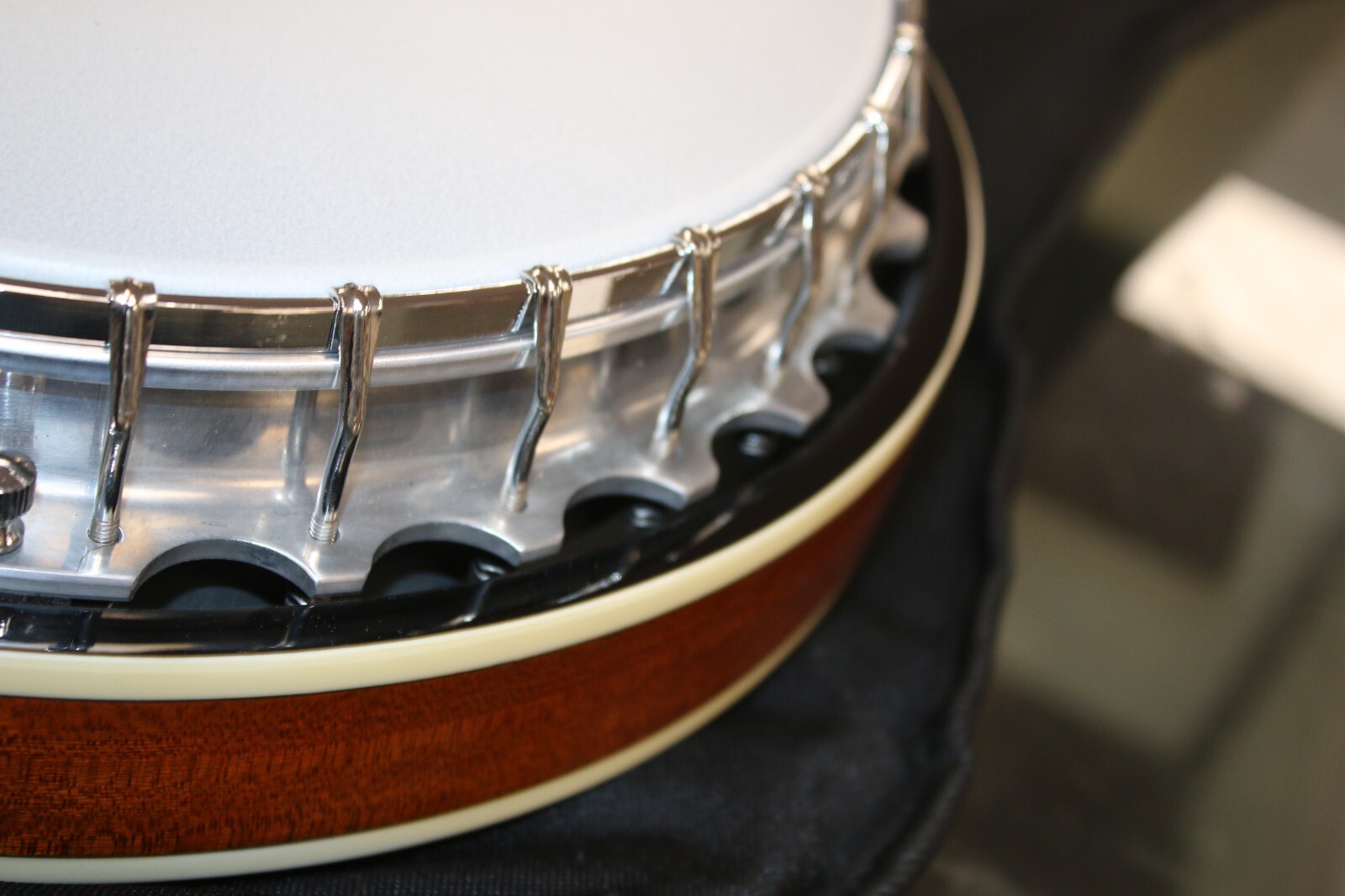 Danville Banjo acoustic banjo with softcase | eBay