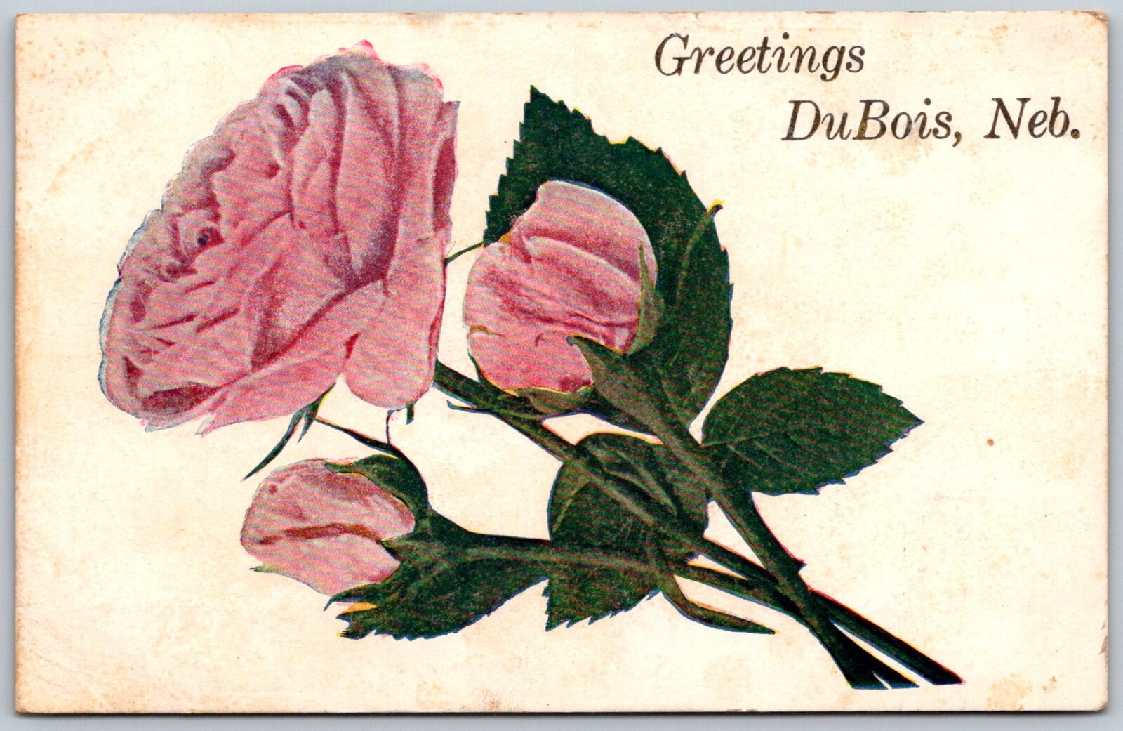 Postcard NE DuBois Nebraska Greetings Pink Roses Posted 1908 NE01 | eBay