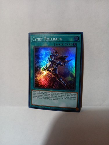 Cynet Rollback CYAC-EN051 Cyberstorm Access 1st Edition for sale online | eBay