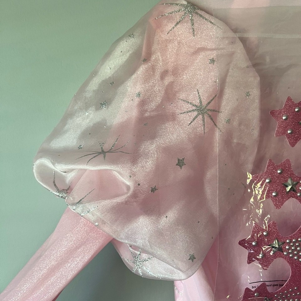 Wizard of Oz Glinda Adult Premium Costume with Crown Pink Size Large | eBay