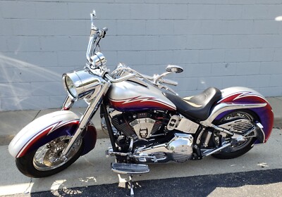 2001 Harley Fat Boy Custom FLSTF Thousands in Chrome Custom Paint ...