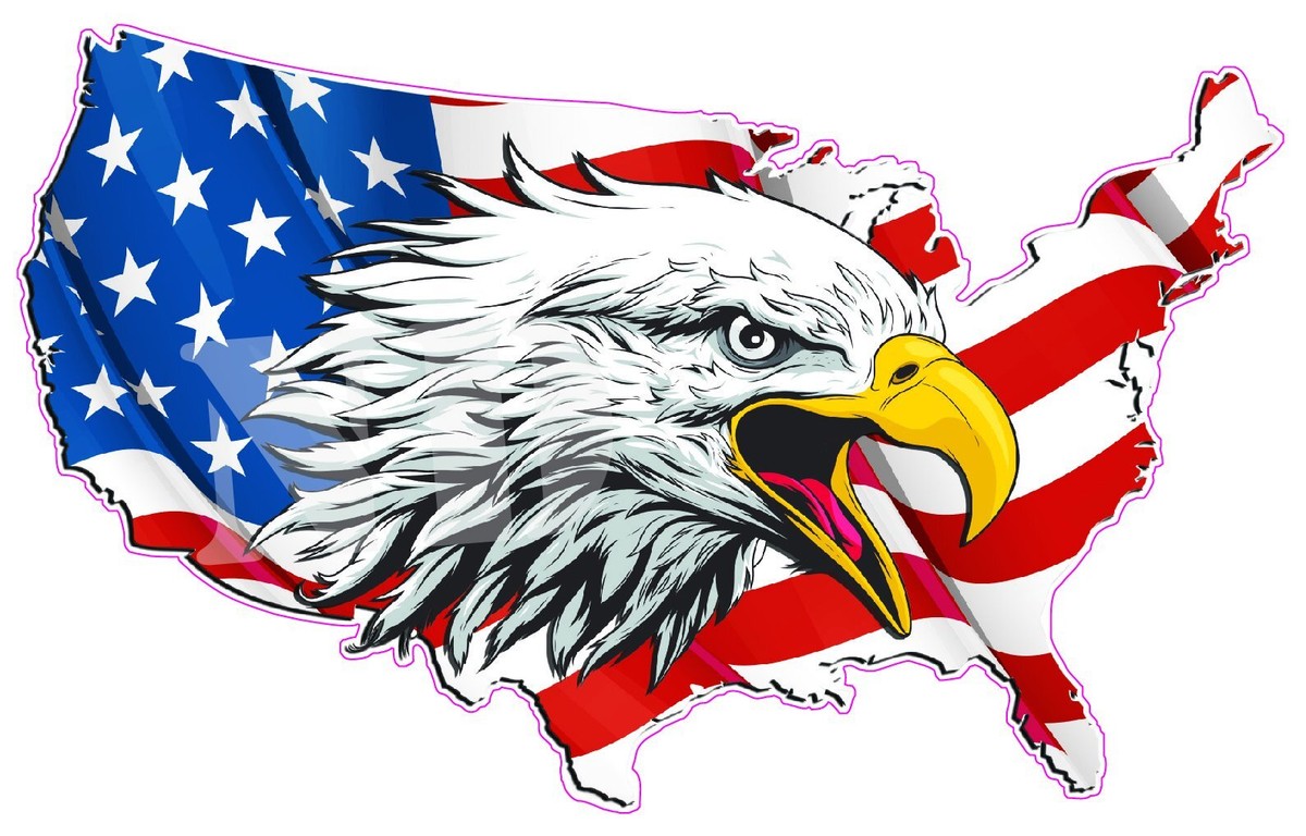 Accurate American Flag
