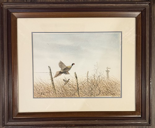 Original Don Griffiths Watercolor Fowl Painting 1985 | eBay