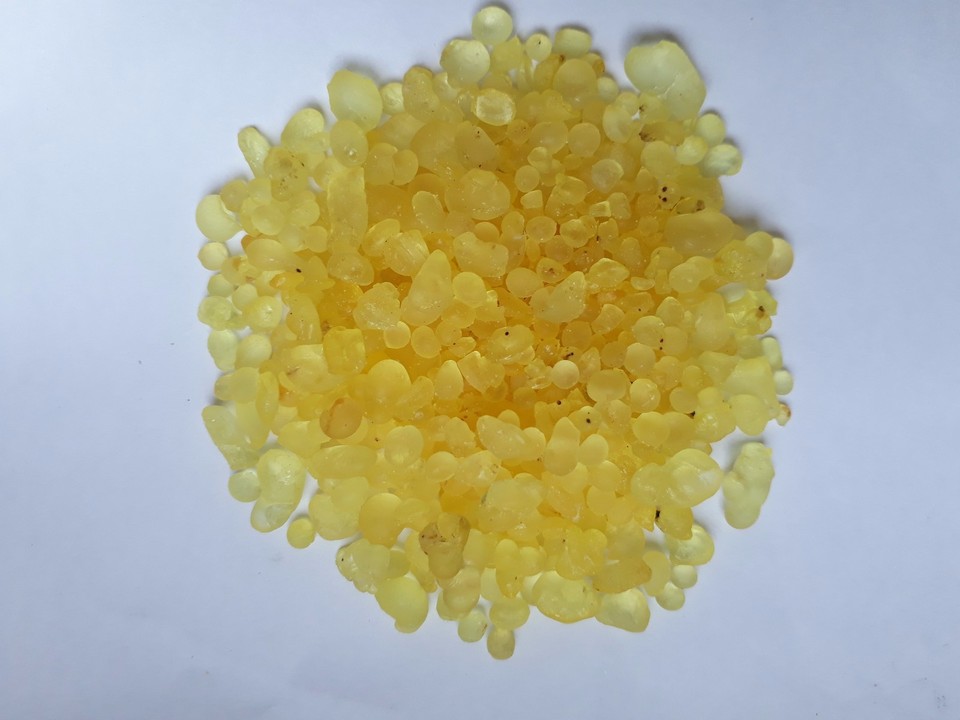 Rumi Mastaki Mastagi Mastic Tree Gum, Pistacia lentiscus Linn 30 gram ...