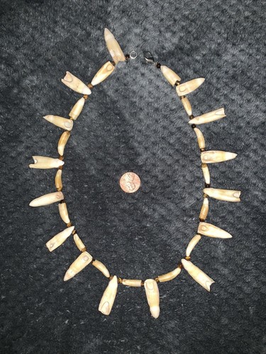 Alligator Crocodile Tooth Bone Necklace . Authentic Custom made 19in ...