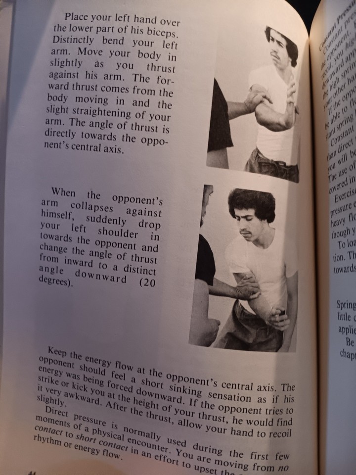 🔥 Tao of Wing Chun Do Vol 2 Bruce Lee's Chi Sao by James DeMile ...