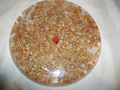 Vintage Gamut Designs Lucite Grains Ladybug Round Trivet Retro | eBay