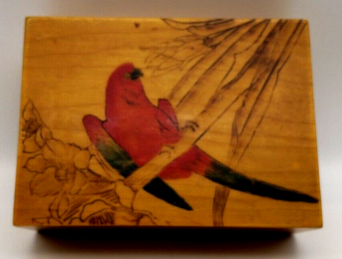 Parrot Hand Painted on Lidded Wood Jewelry Trinket Keepsake Box 6.5"x5 ...