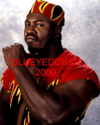 STEVIE RAY WRESTLER 8 X 10 WRESTLING PHOTO WWF WCW | eBay