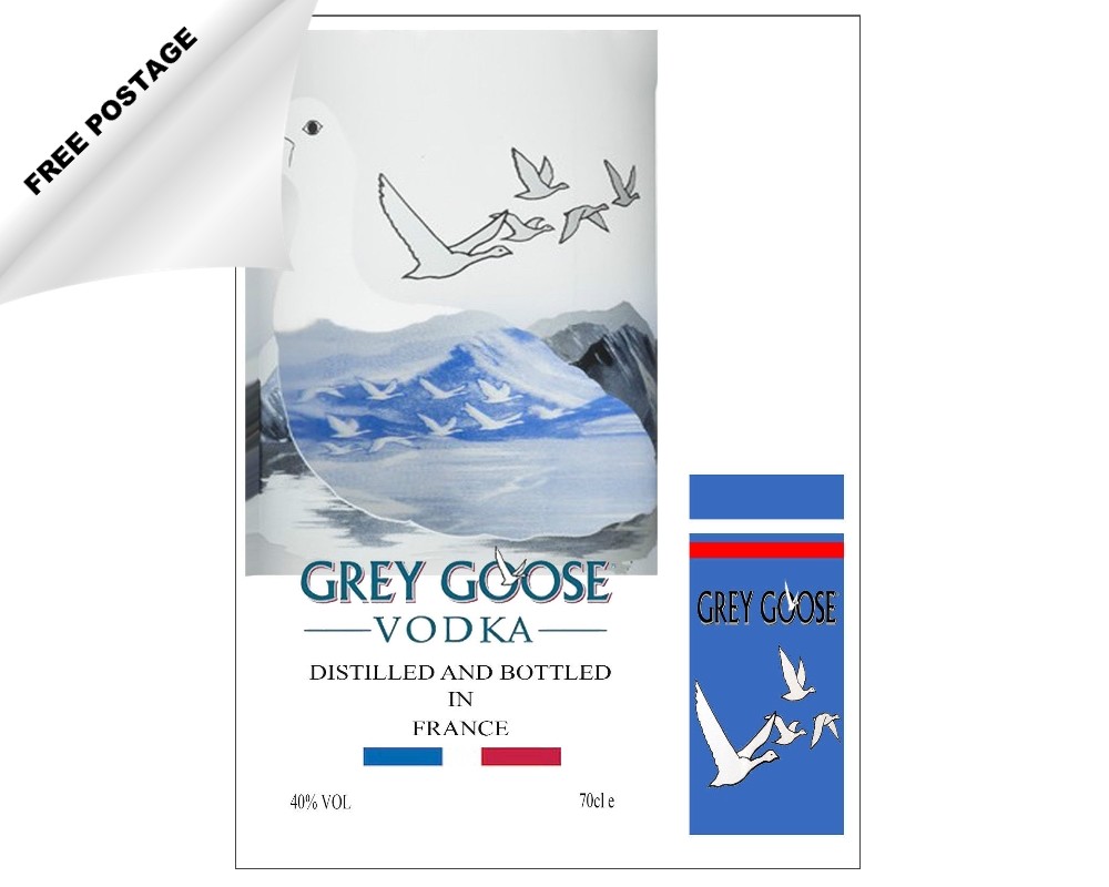 Grey Goose Bottle Cake