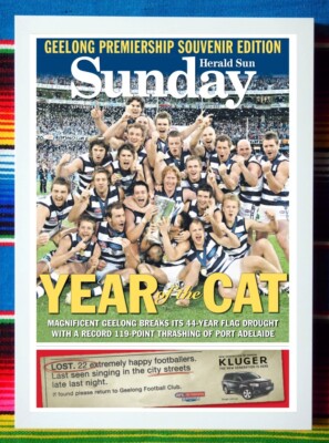 Framed 2007 GEELONG CATS AFL Premiers Poster - 45cm x 32cm x 3cm | eBay