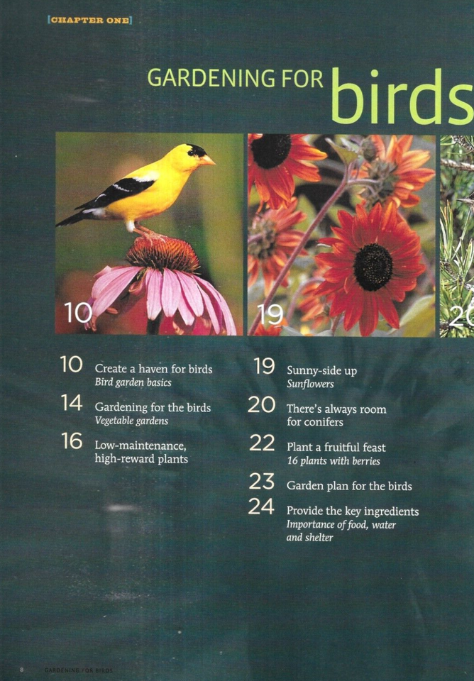 Gardening For Birds And Butterflies Magazine Colorful Plants ...