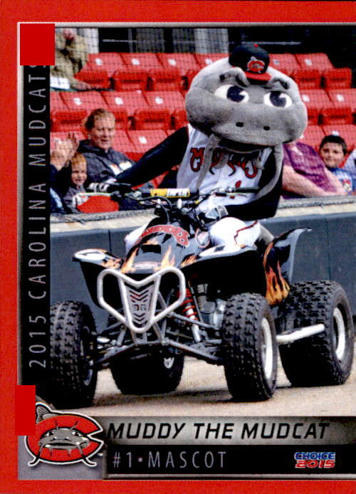 2015 Carolina Mudcats Choice #32 Muddy the Mudcat MASCOT - NM Baseball Card | eBay
