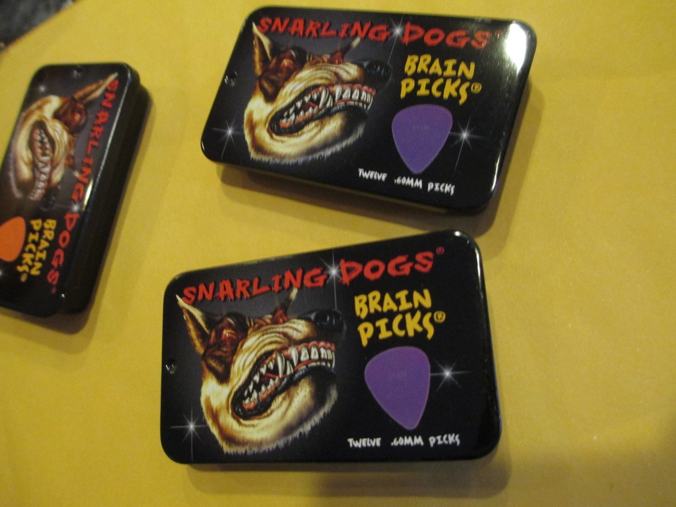 2 GUITAR PICK CONTAINERS / HOLDER / BOX for STORAGE IN YOUR CASE OR ...