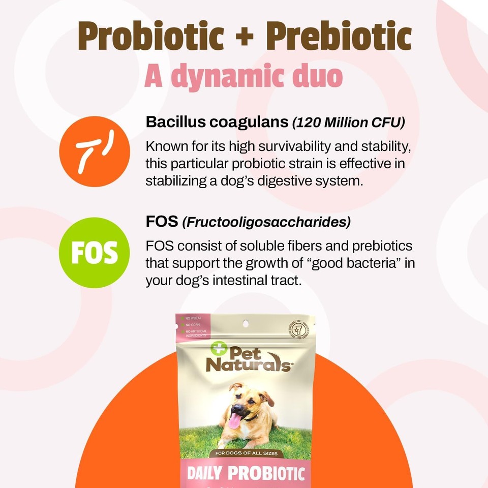 Pet Naturals of Vermont - Daily Probiotic for Dogs Digestive Health 60 ...
