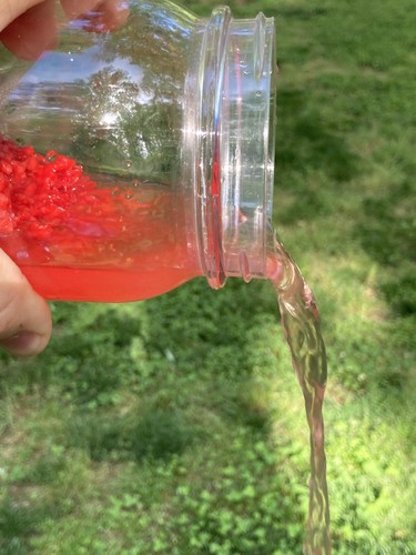 Carp Rice Pack Bait Forever Rice 12+ Pound Bag Super Infused Strawberry ...