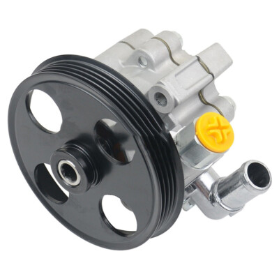 96837813 For Opel Chevrolet Power Steering Pump | eBay