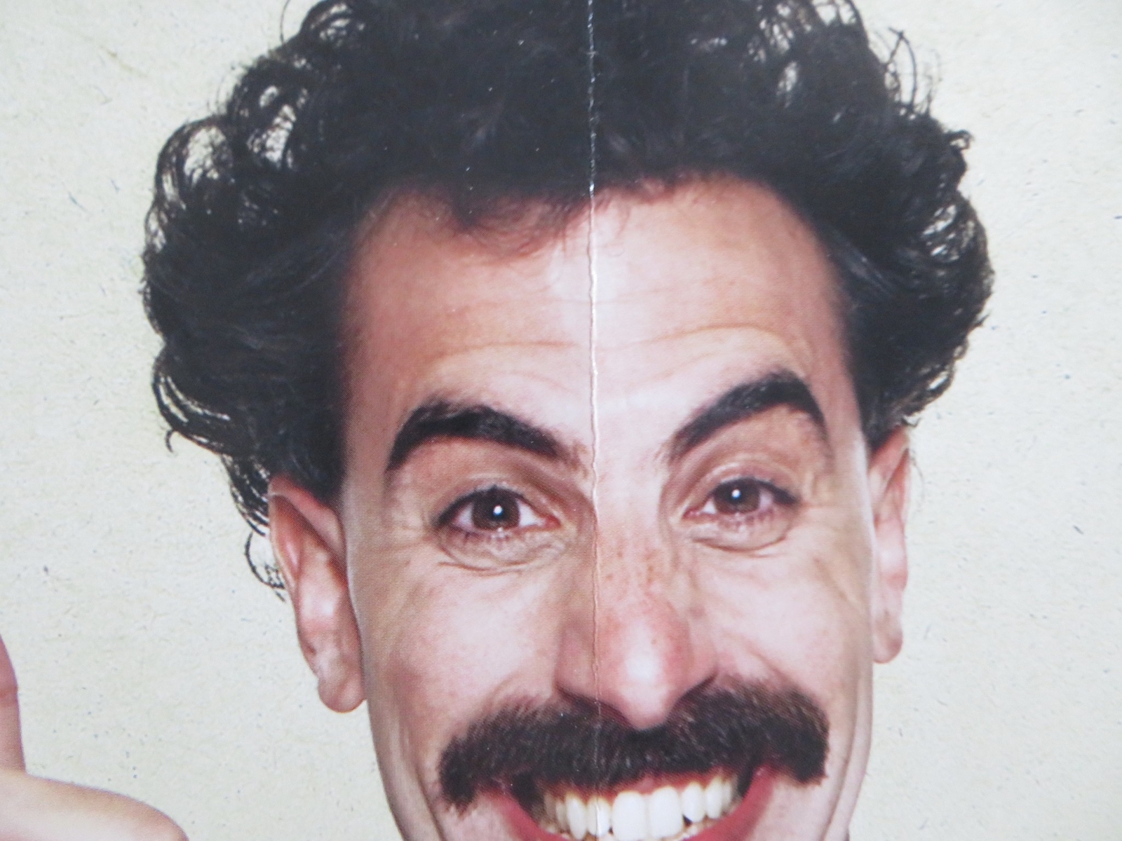 BORAT DVD POSTER SACHA BARON COHEN KEN DAVITIAN 2007 | eBay