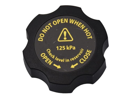 Radiator Cap VZ V6 VE V6 & V8 Oring Type - 13502509 | eBay Australia