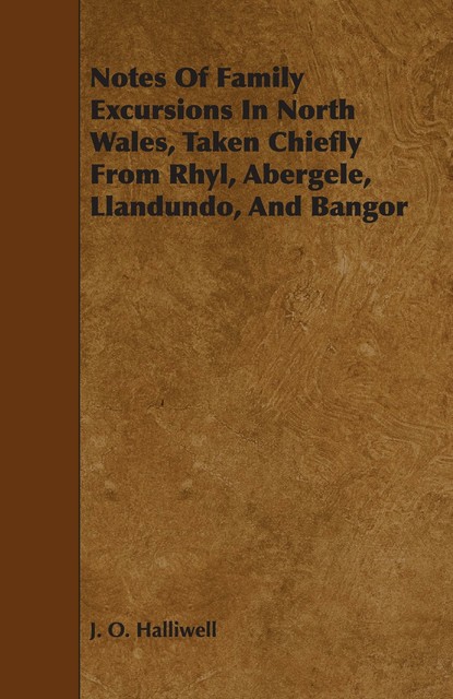 Notes of Family Excursions in North Wales, Taken Chiefly from Rhyl ...