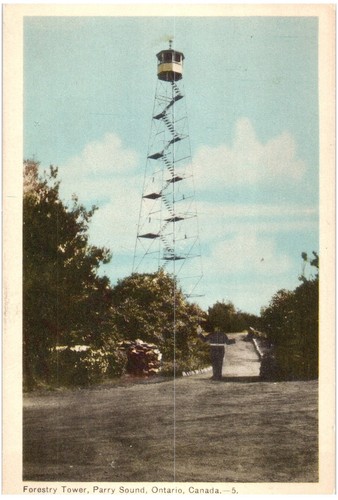 FORESTRY TOWER,PARRY SOUND,ON,CANADA.VTG UNUSED POSTCARD*B25 | eBay