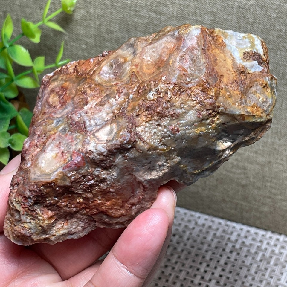 Rare Mexican Crazy Lace stone Raw rough rock original Specimen Mexico ...