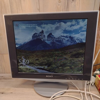 Sony SDM-HS53 LCD Computer Monitor Tested Working | eBay