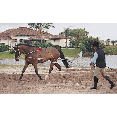 Pessoa Lunging System Horse | eBay