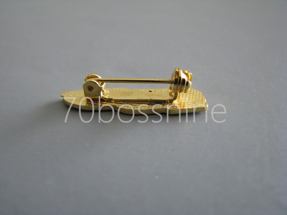 WATKINS GLEN RACEWAY CAR LOGO 1" IMSA SSCA ROAD RACING HAT PIN LAPEL ...