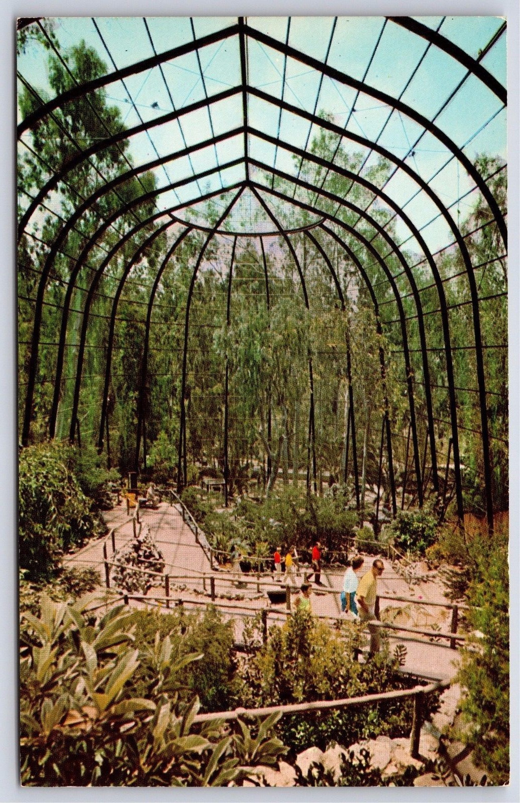 The San Diego Zoo Walk Through Bird Cage Aviary California Chrome ...