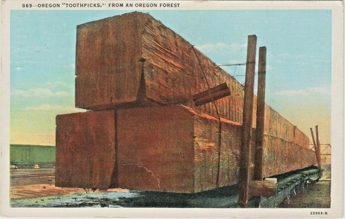 Oregon Giant "Toothpicks," from an Oregon Forest loaded on a Railroad ...