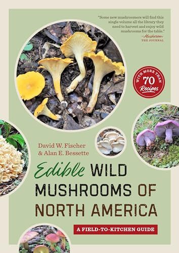 Single Edible Mushroom