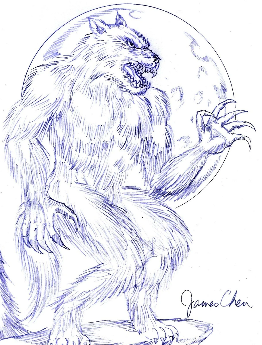 Werewolves Drawings In Pencil