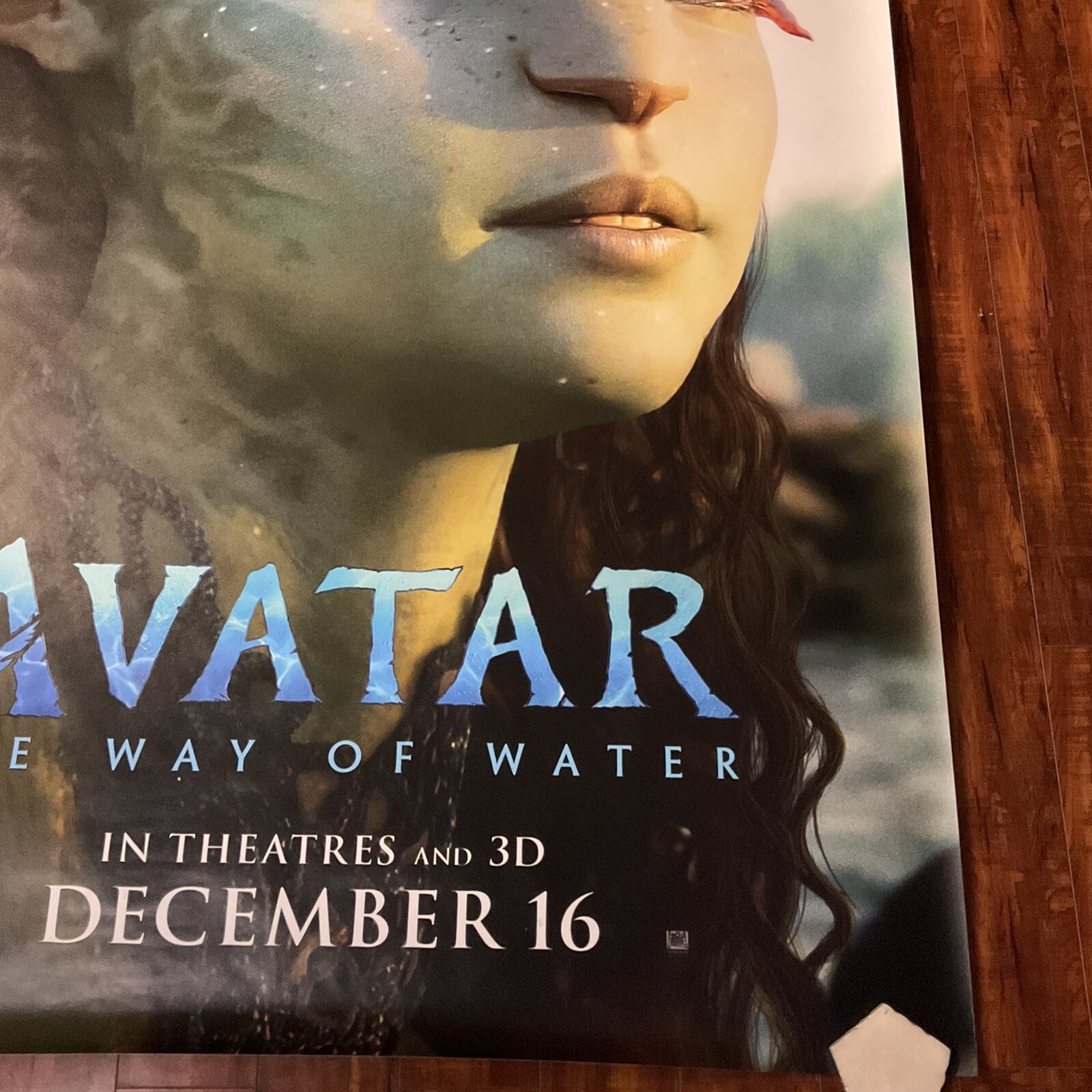 AVATAR 2022:The Way Of Water *TSIREYA BUS SHELTER MOVIE POSTER ORIGINAL ...