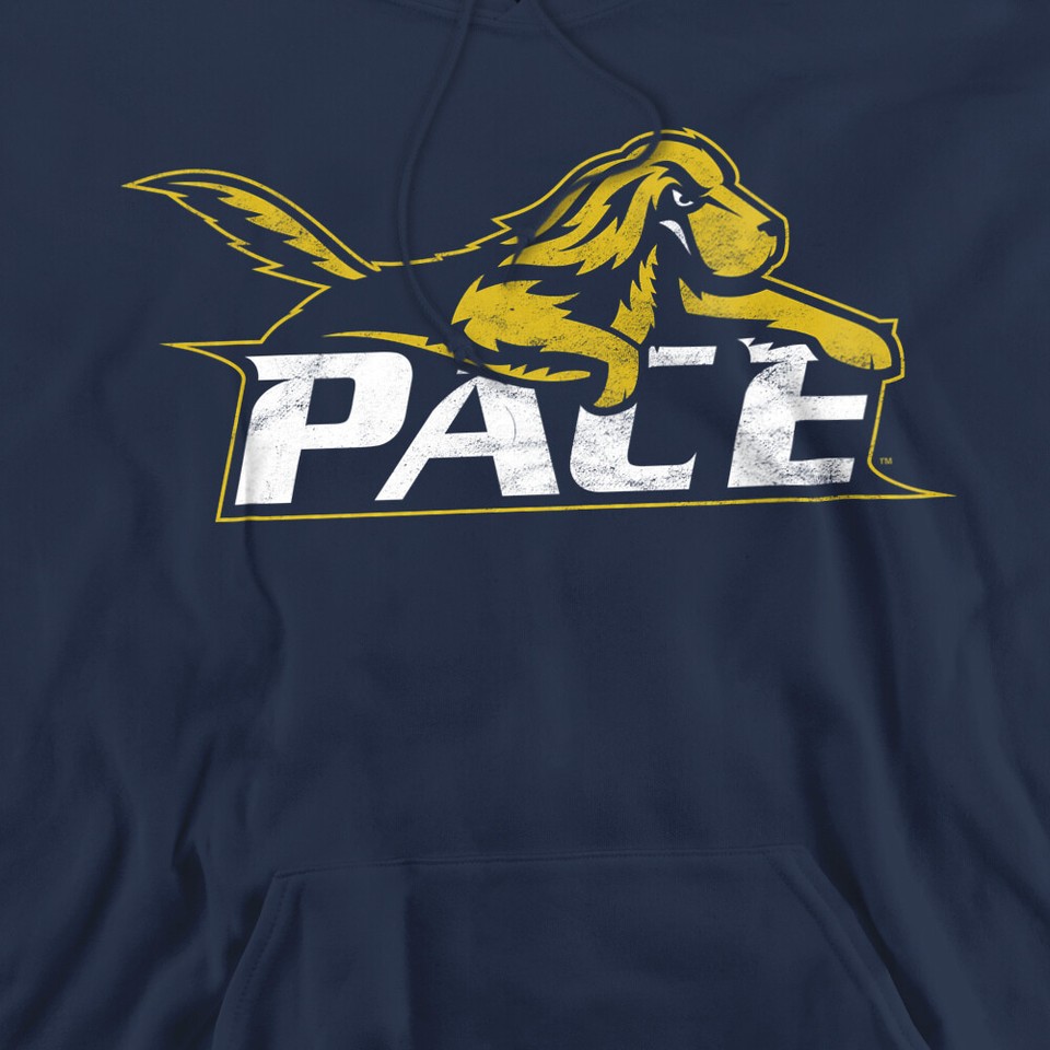 Pace University Adult Pullover Hoodie Setters Logo, Navy, S-3XL | eBay